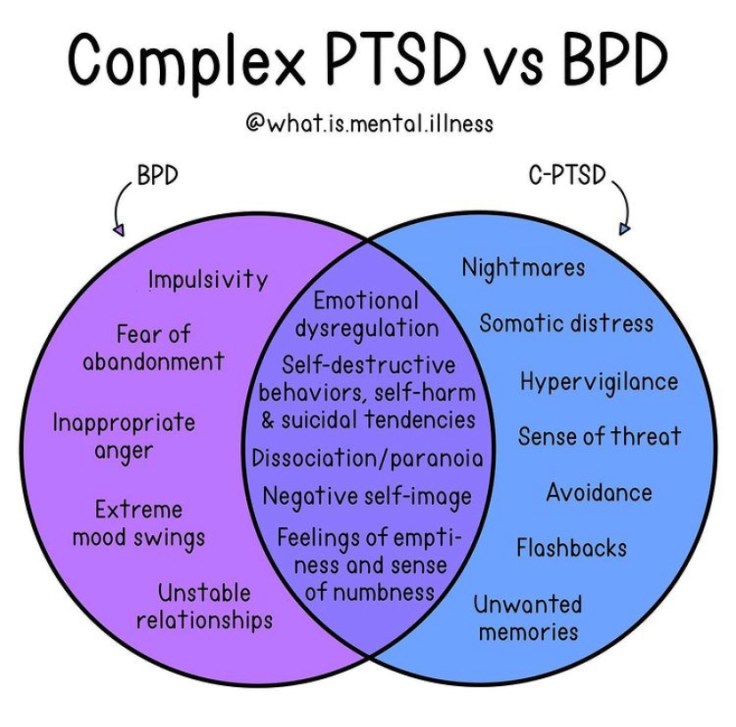 Do you have borderline personality disorder or complex PTSD? – Reparent ...