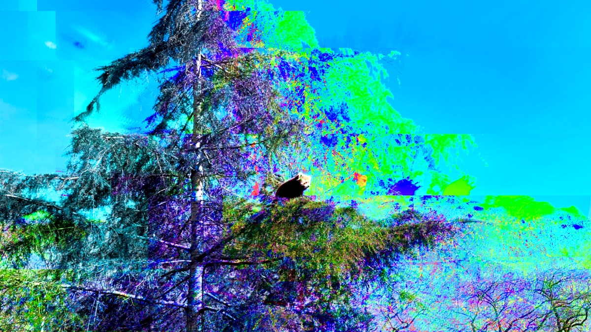 Overwhelmed? Triggered? Here’s how to ground yourself – Reparent Your Soul